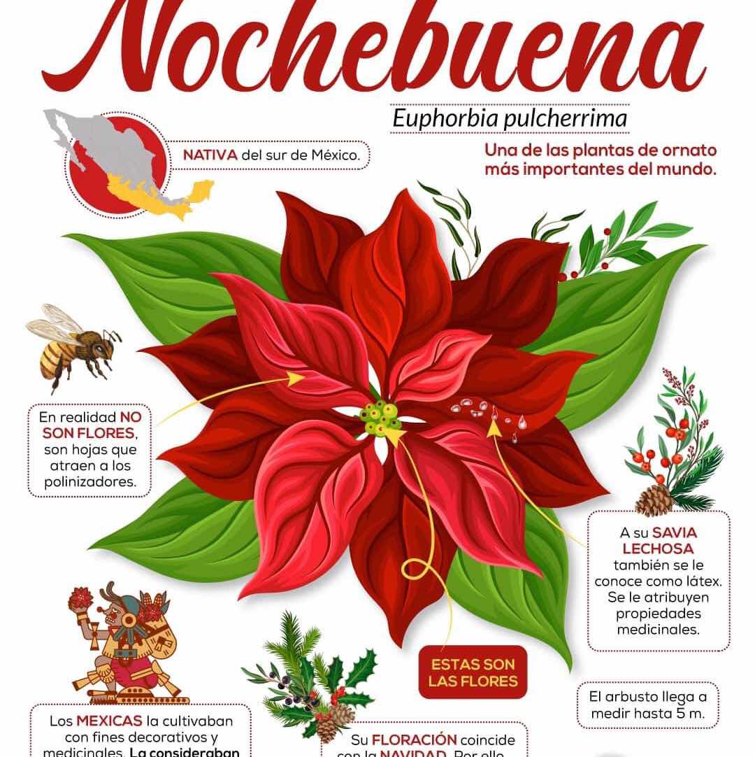 Casada a primera vista PDF y novela en línea por Gu Lingfei para leer ...