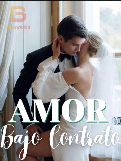 Amor bajo contrato. PDF y novela en línea por Lily Arzola para leer ...